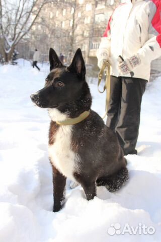 Малыш ищет дом по всей калужской области