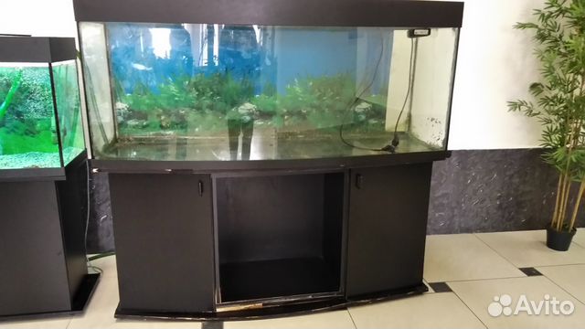Отдам аквариум 600л с трещиной