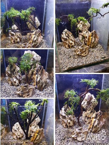 Много разных коряжек для маленьких аквариумов