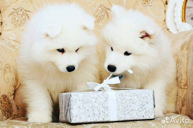 Малышка 2мес ждет маму