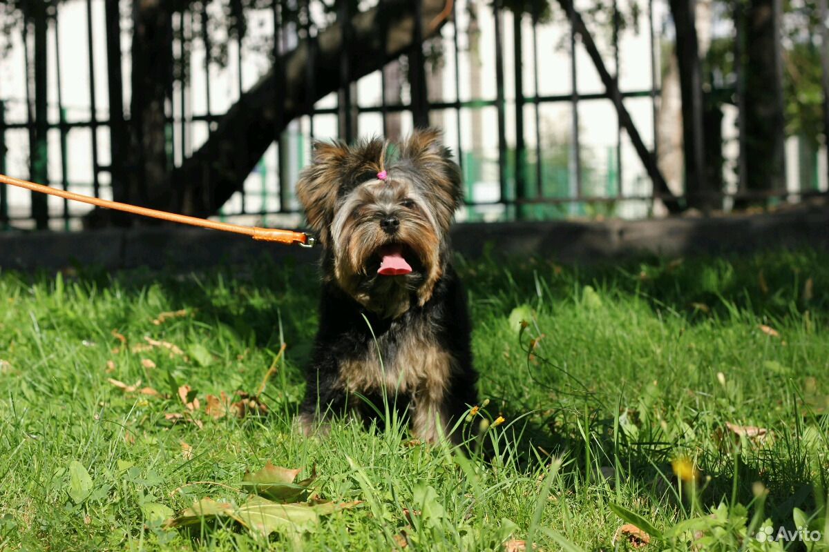 Нереальная красотка