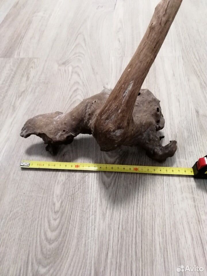 Коряга мангровая