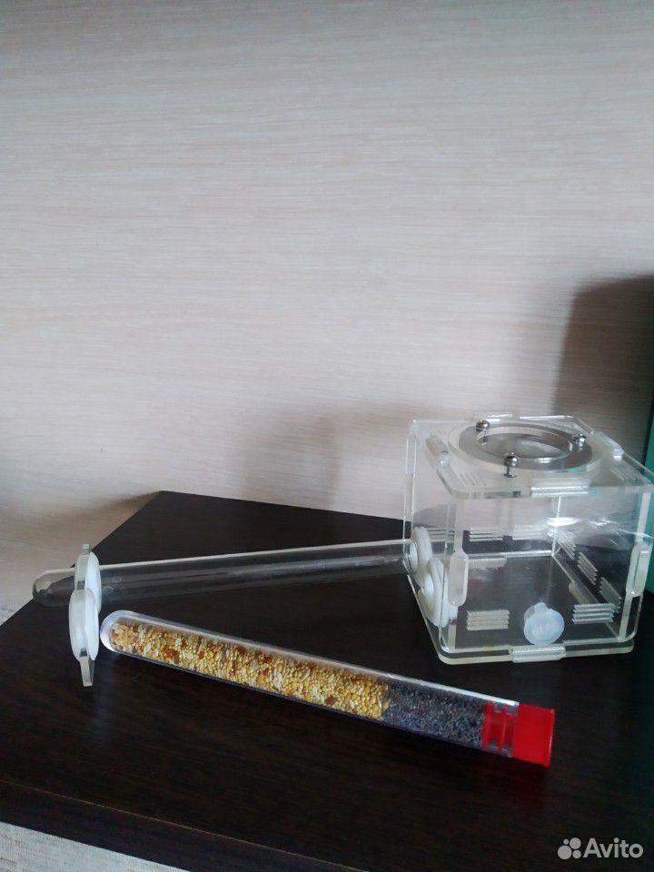 Инкубатор для муравьев новый и корм