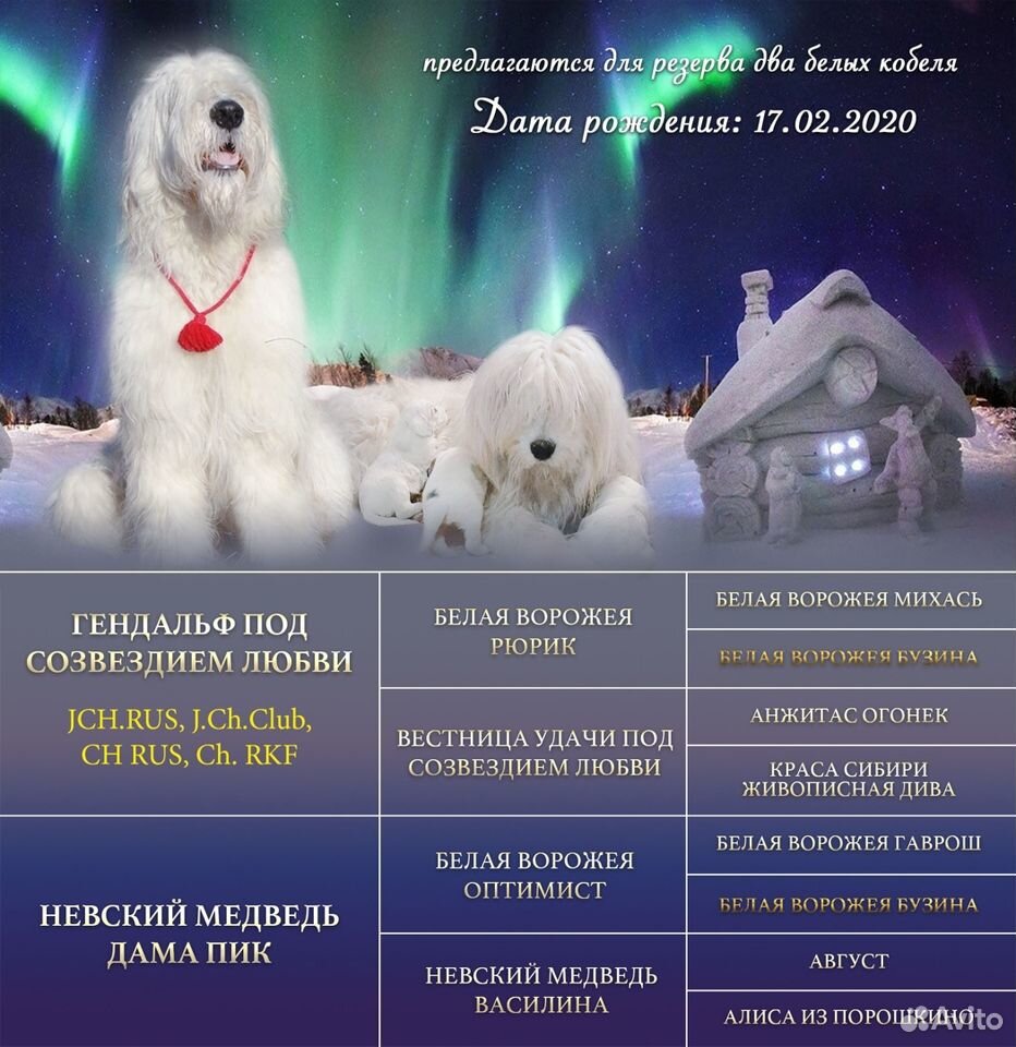 Щенки Южнорусской овчарки