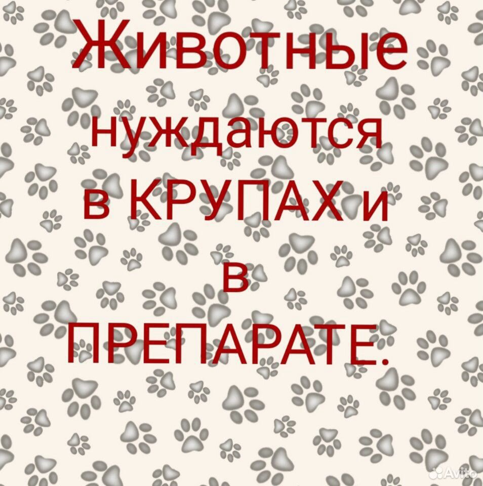 Требуется помощь в кормлении и лечении животных из