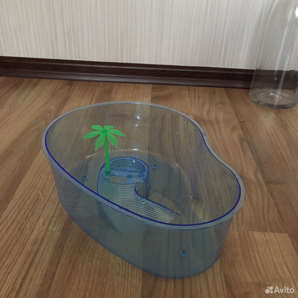 Аквариум с пляжем для чеперахи