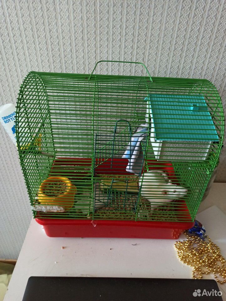 Клетка+ крыска