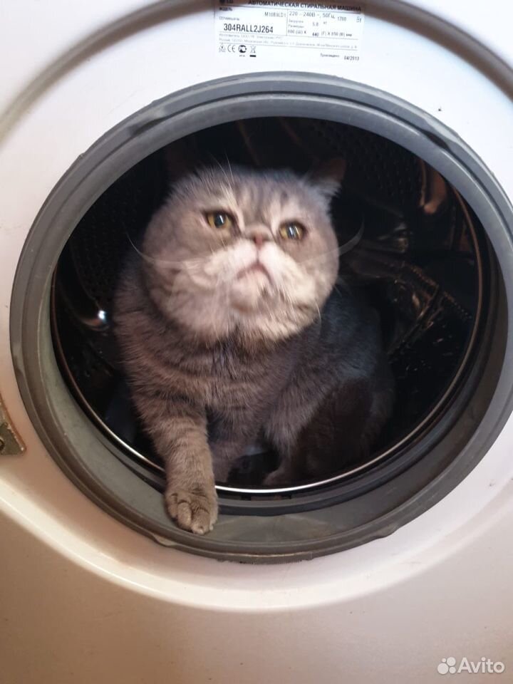 Экзотик вязка