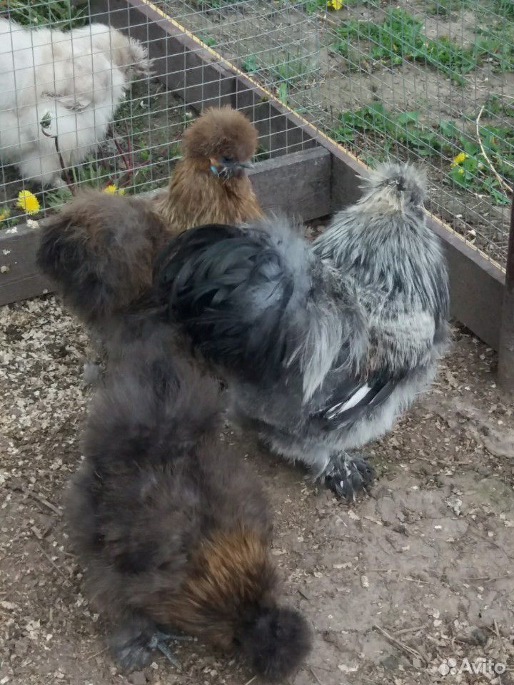 Китайский шёлк