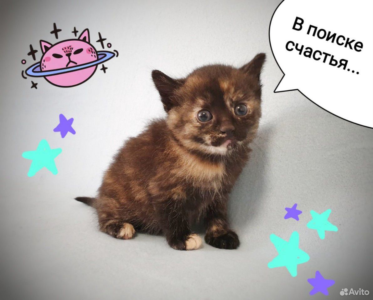 Малютка хочет домой