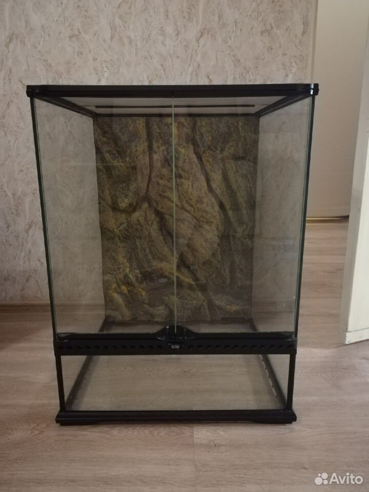 Террариум exo Terra и ресничатый геккон бананоед