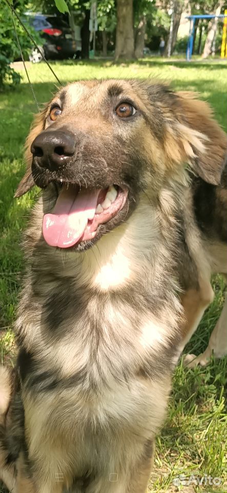 Звонок супер бас