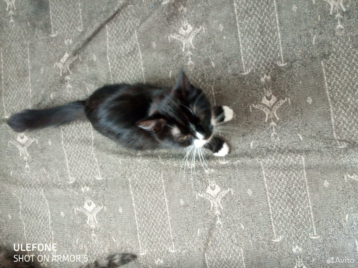 Чёрно-белая Масяня