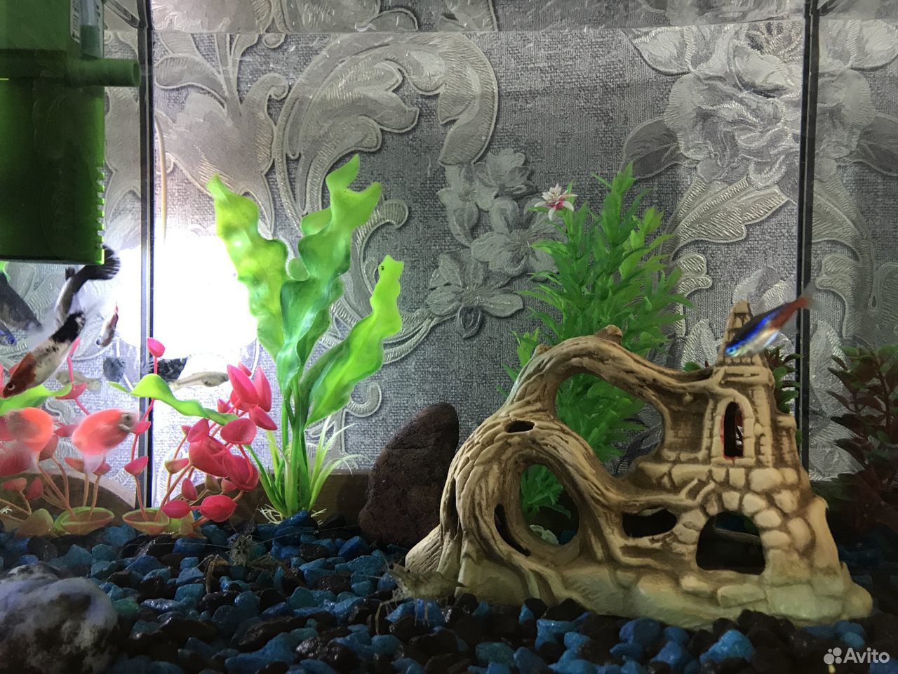 Аквариум