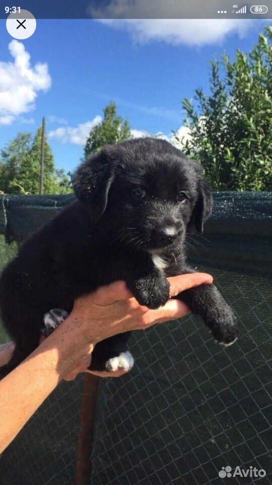 Игрушечная девочка 1,5 месяца