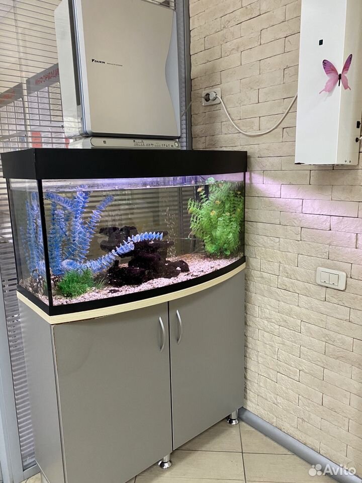 Аквариум