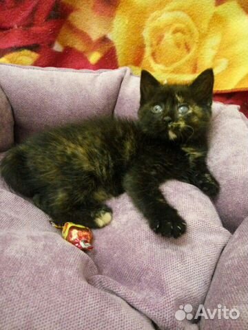 Крутая малышка