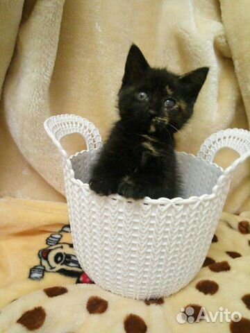 Классная девочка Черничка