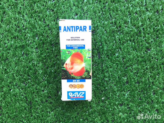 Товары для аквариума