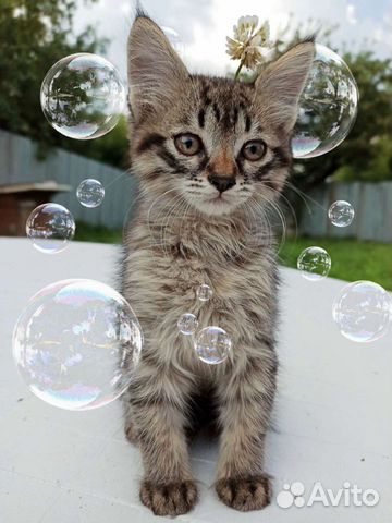 Малышка Софи в любящие ручки