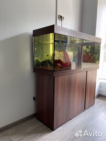 Аквариум с рыбками