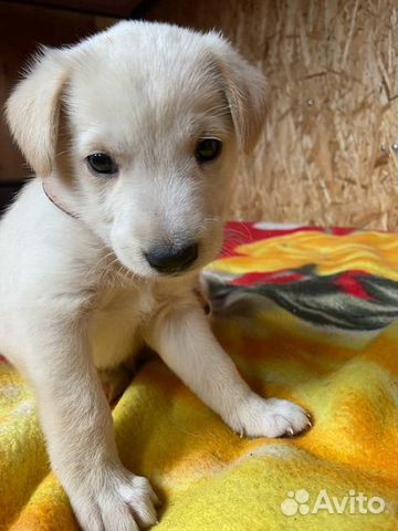 Малыш Каспер