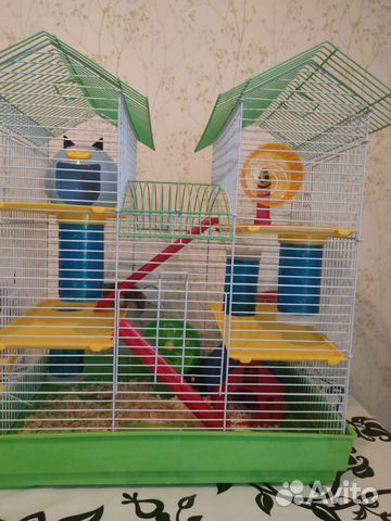 Клетка с хомяками