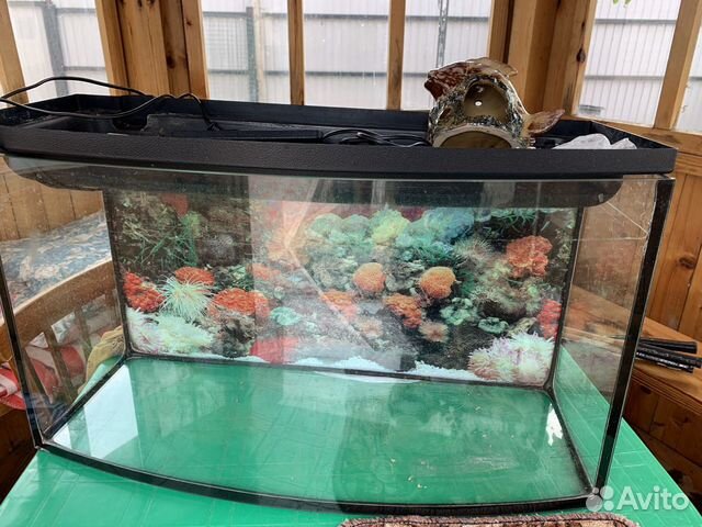 Аквариум 60л
