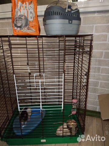 Крысы с клеткой