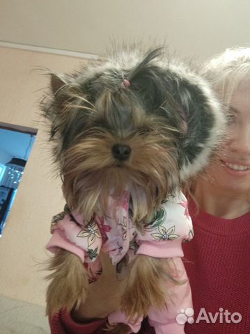 Продается мини девочка 2 годика