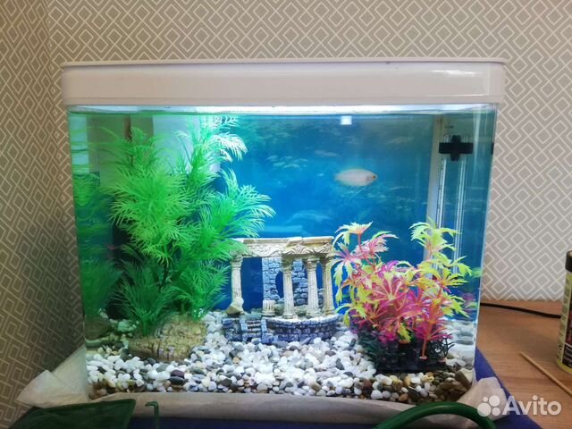 Аквариум Prime с рыбками