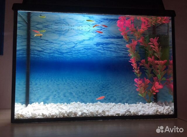 Аквариум 20л + все аксессуары