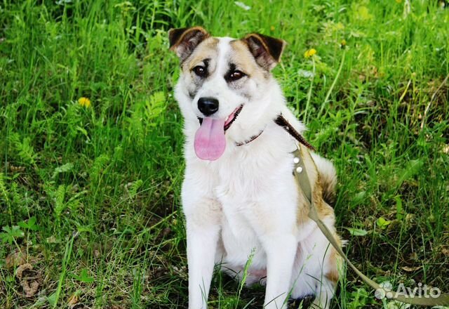 Линде должно улыбнуться счастье