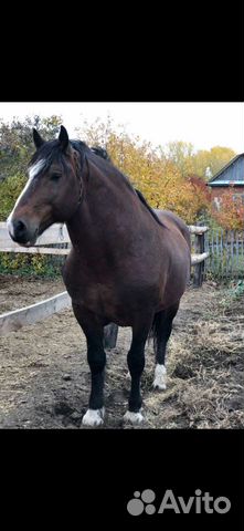 Владимирский тяжеловоз