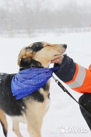 Эмма ищет дом