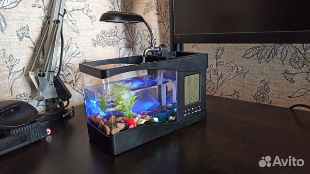 Мини аквариум Dream Crystal Palace