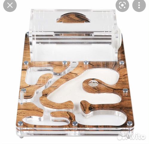 Муравьиная ферма с муравьями