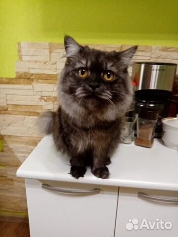 Котик для вязки