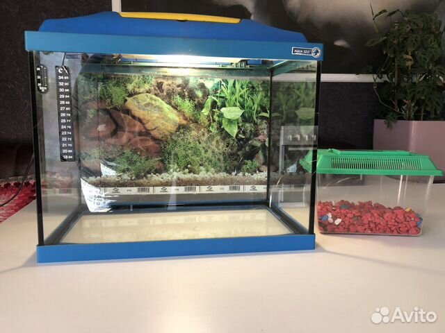 Аквариум aqua szut и маленький