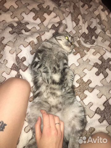 Эдит Пиаф будет жить с вами в одном доме