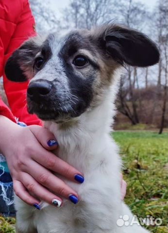 Очаровательная Мишель