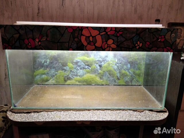 Аквариум