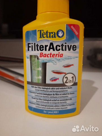Tetra filter active bacteria