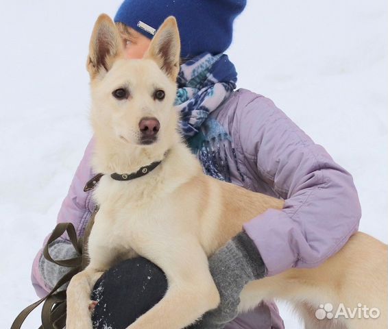 Грациозная снегурочка Бонечка