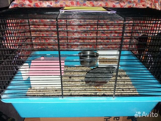 Китайская курица