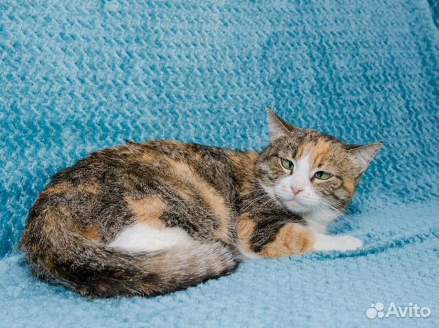 Уля - мультяшка ждет новых хозяев