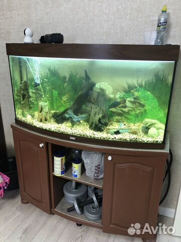 Аквариум с тумбой и рыбками