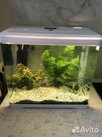 Аквариум
