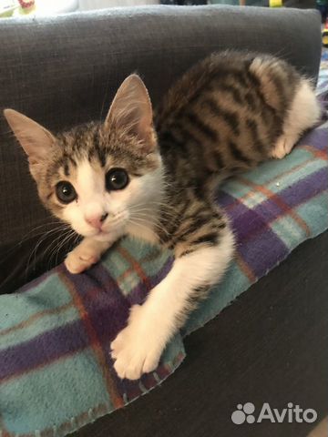 В хорошие руки