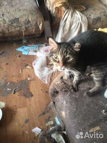 Возьмите на доживание,страшно умирать одной,мне 20